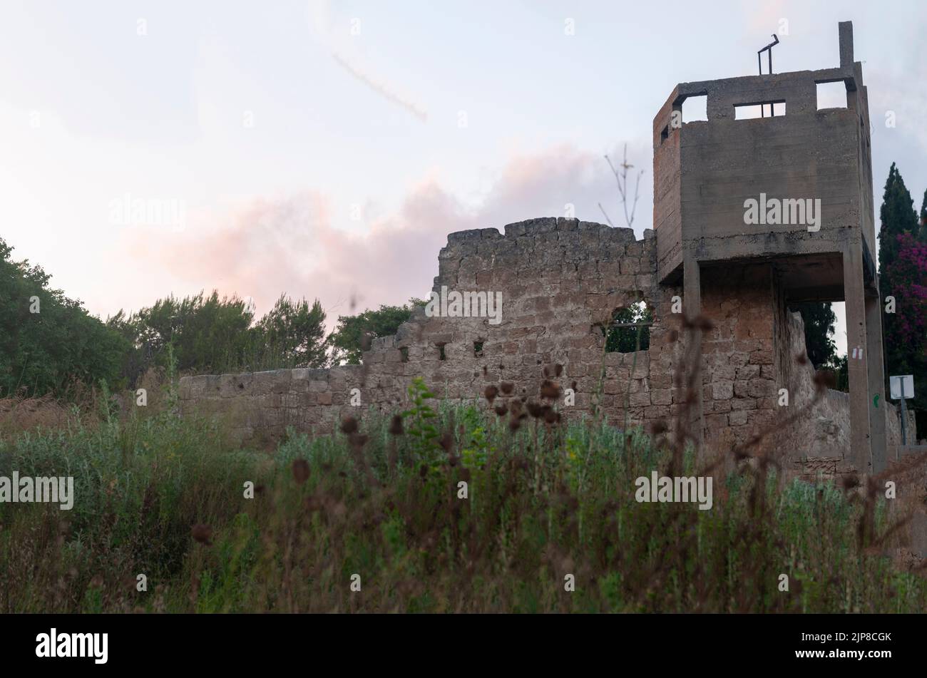 Shlomo hi-res stock photography and images - Alamy