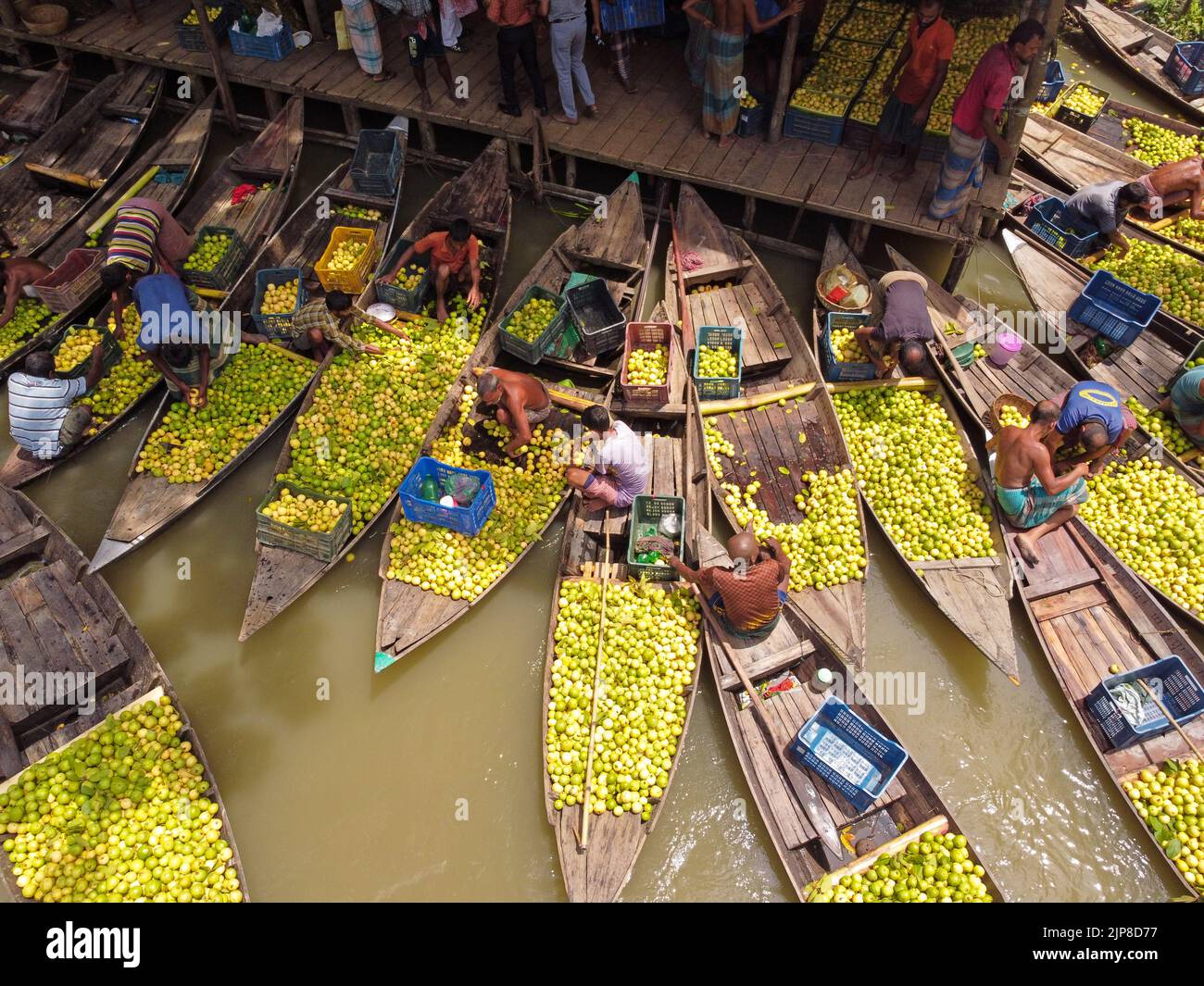 Barisal, Barisal, Bangladesh. 16th Aug, 2022. A floating guava market ...