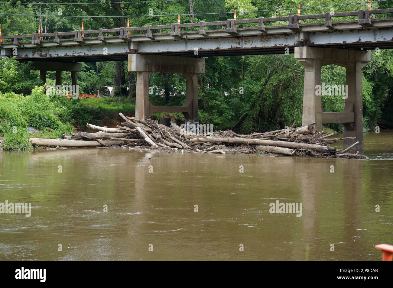 The river running through the branches under the bridge Stock Photo - Alamy