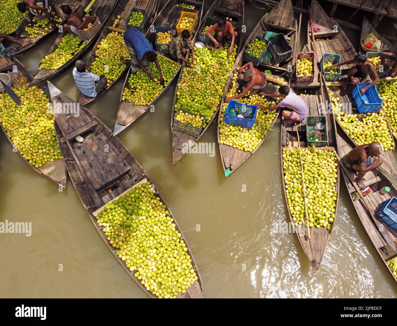 Barisal, Barisal, Bangladesh. 16th Aug, 2022. A floating guava market ...