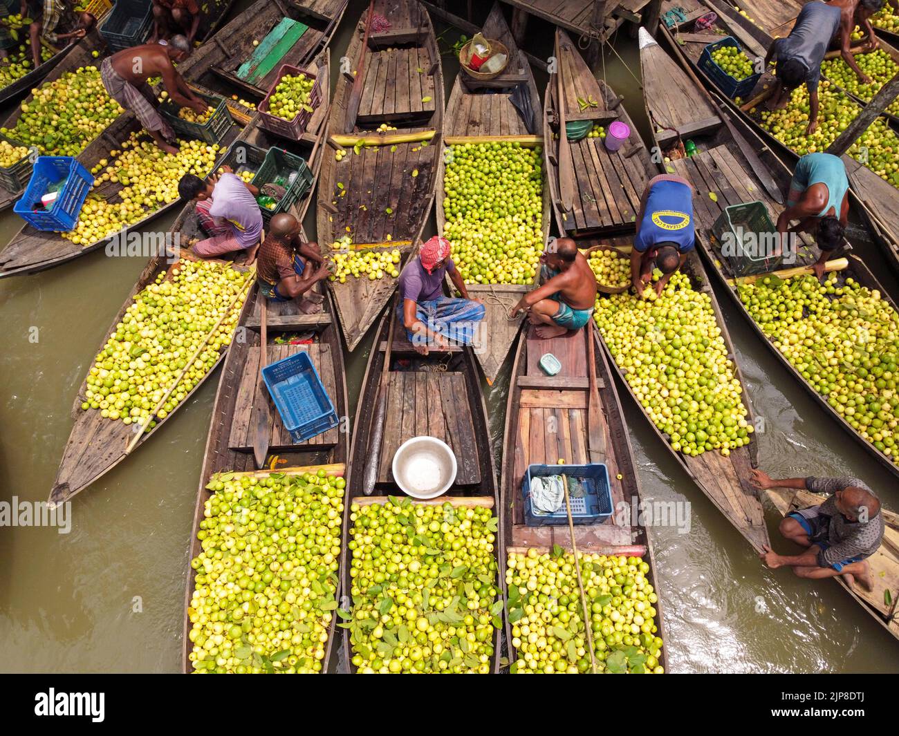 Barisal, Barisal, Bangladesh. 16th Aug, 2022. A floating guava market ...