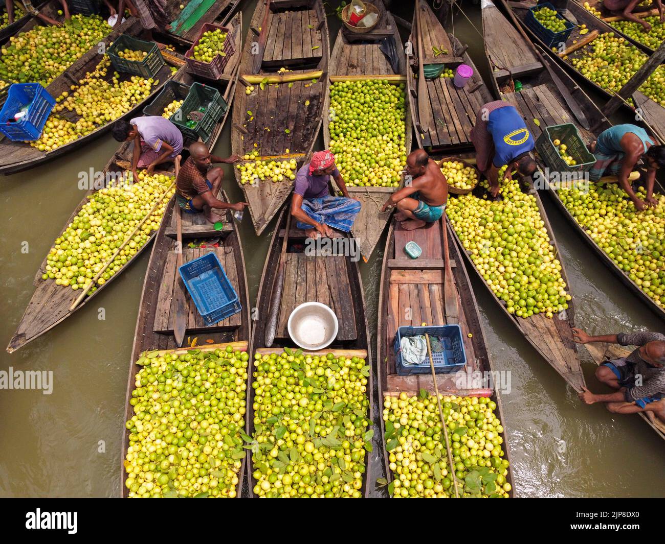 Barisal, Barisal, Bangladesh. 16th Aug, 2022. A floating guava market ...
