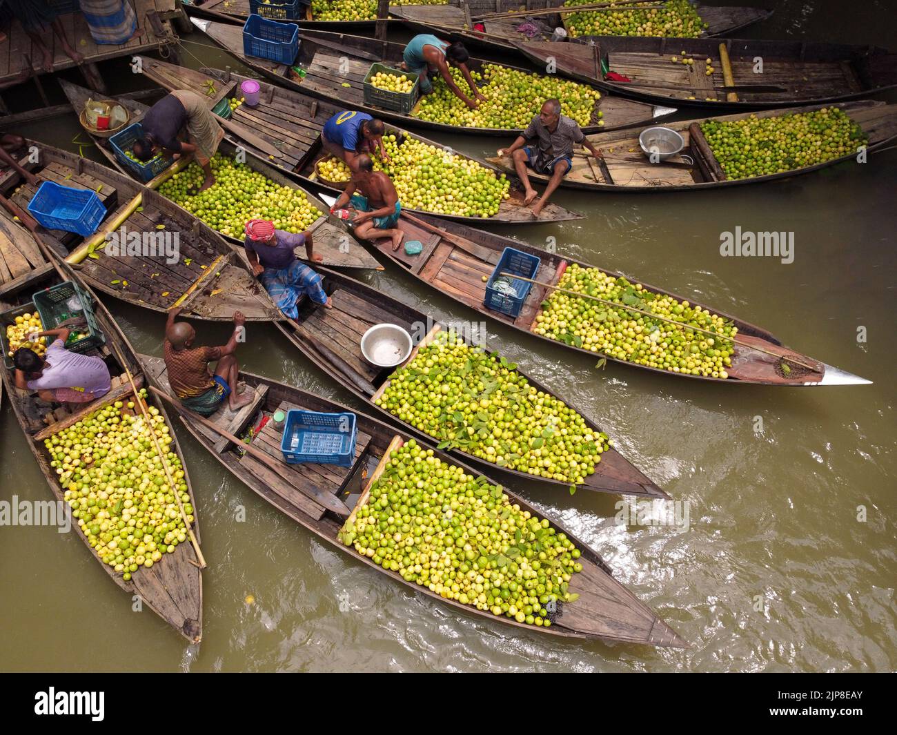 Barisal, Barisal, Bangladesh. 16th Aug, 2022. A floating guava market ...