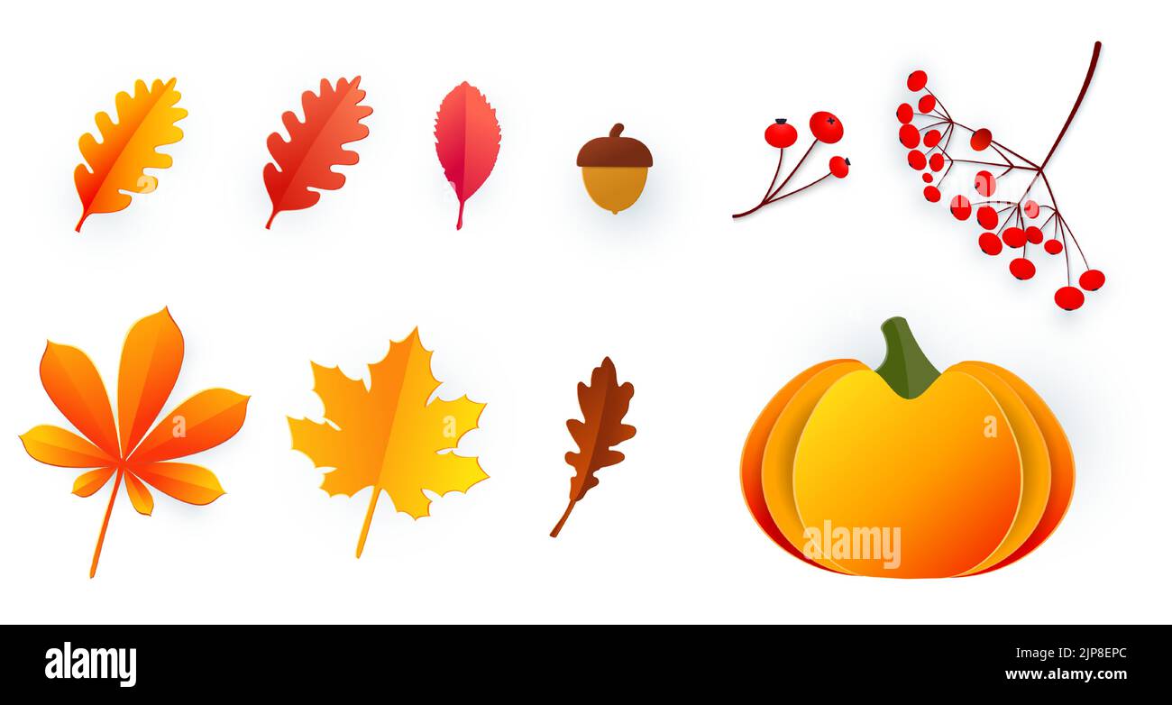 Hello, Autumn. Set of autumn elements in paper cut style. Leaves ...