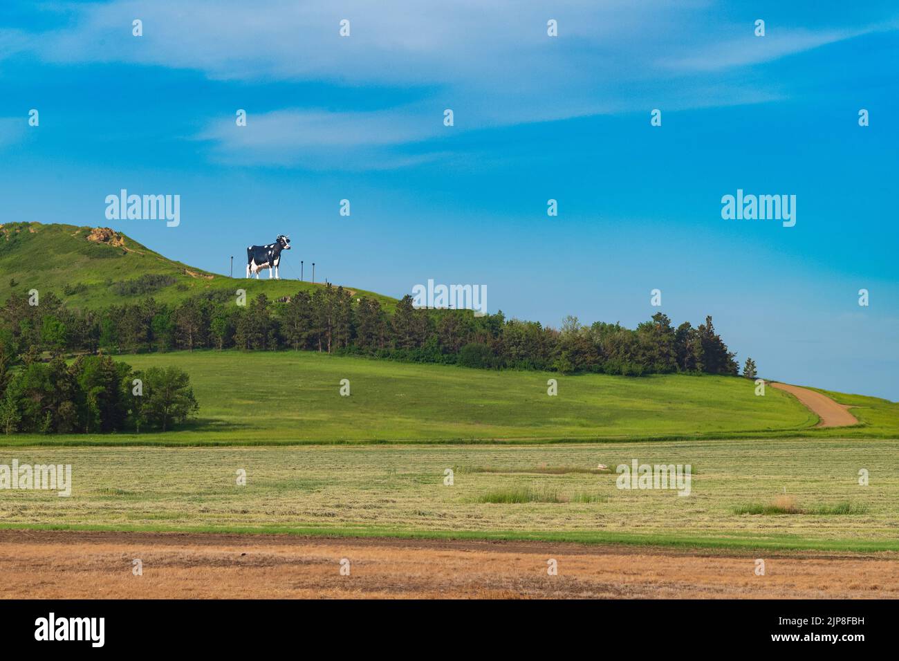 New Salem, ND, USA - Jun 19, 2022: Salem Sue, the World's Largest ...