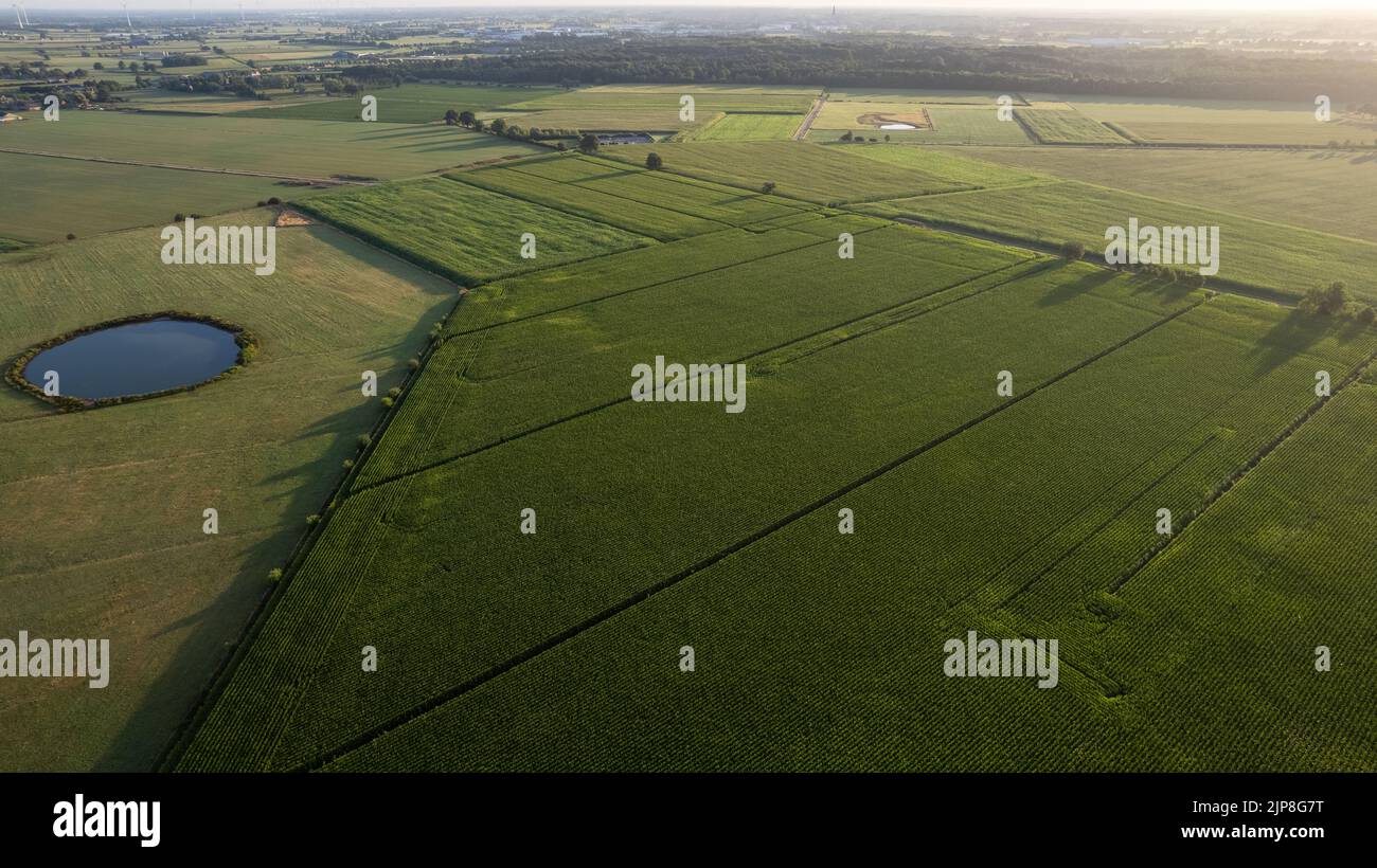 Boundless field hi-res stock photography and images - Alamy