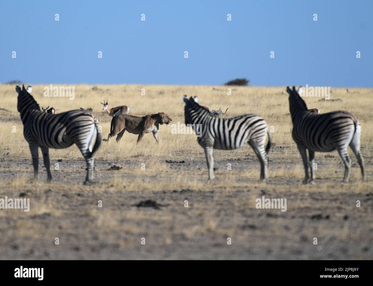 15 aug 2022 hi-res stock photography and images - Alamy