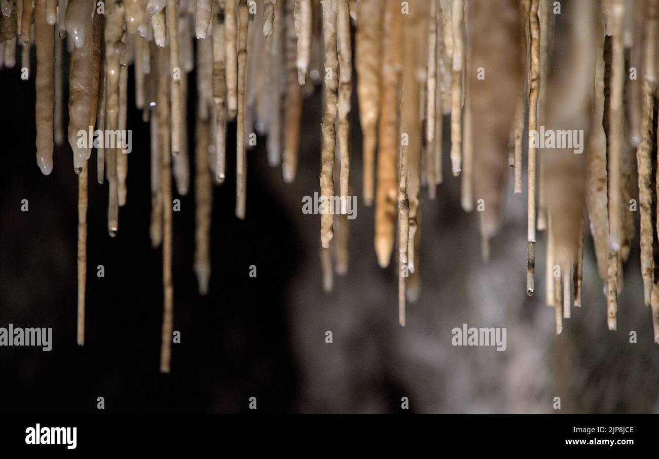 Soda straw cave hi-res stock photography and images - Alamy