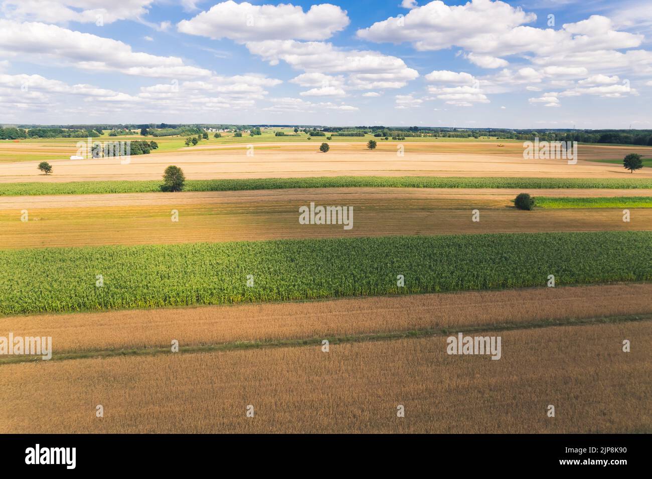 Natural crop field scenery hi-res stock photography and images - Alamy