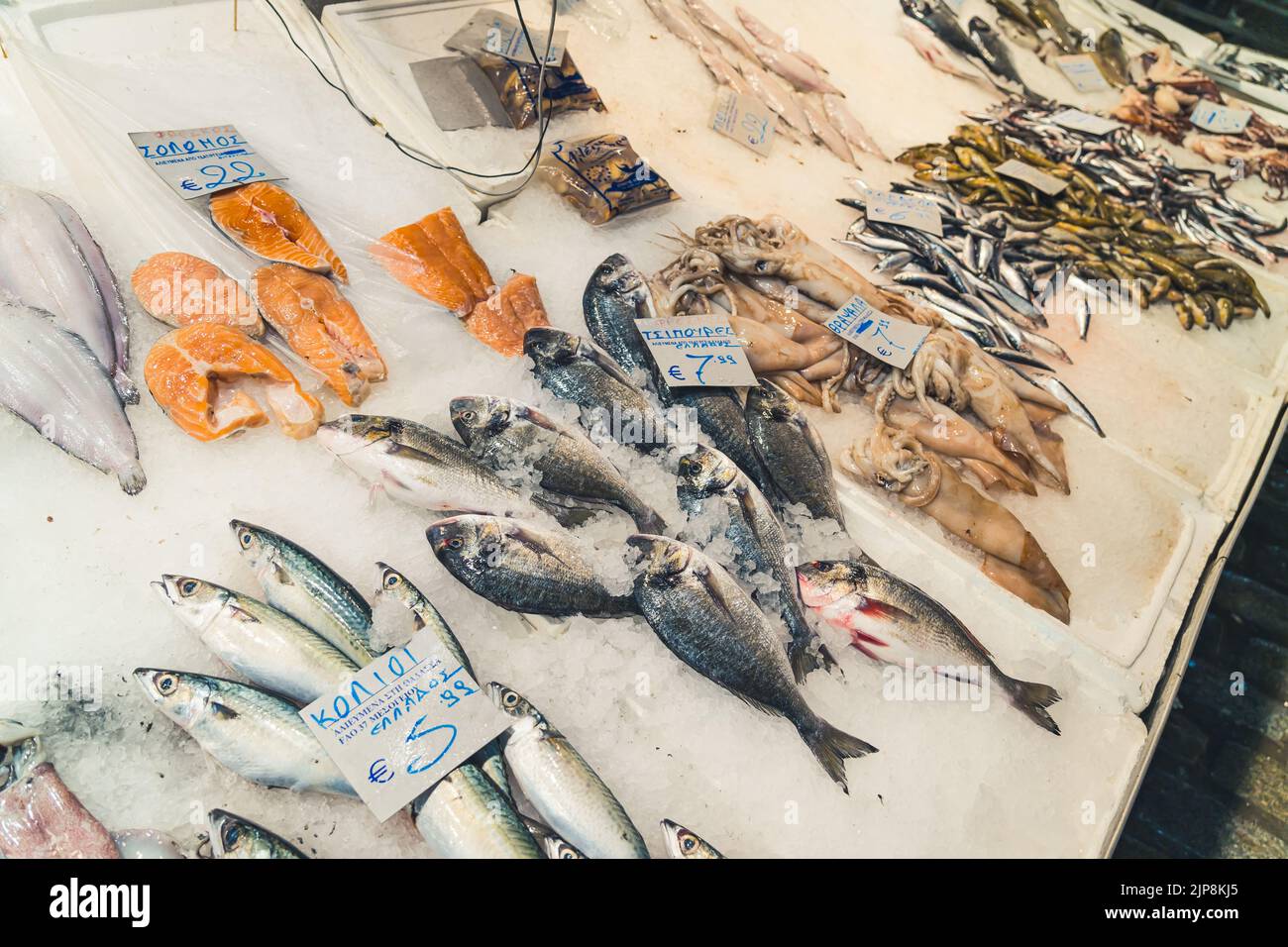 Grey fish hi-res stock photography and images - Alamy