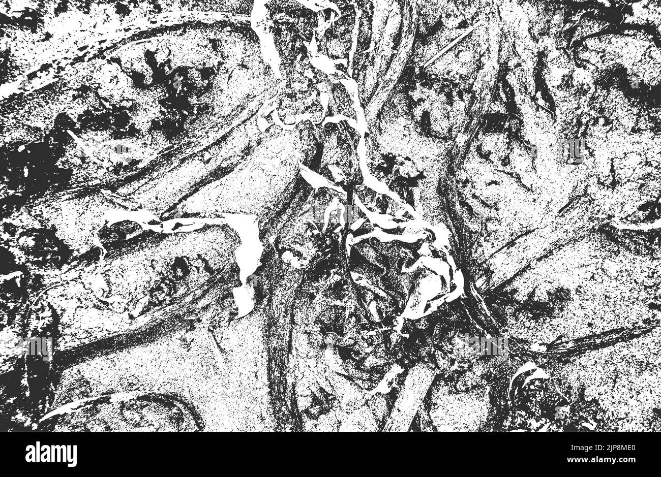 Distressed overlay texture of cracked concrete, stone or asphalt ...