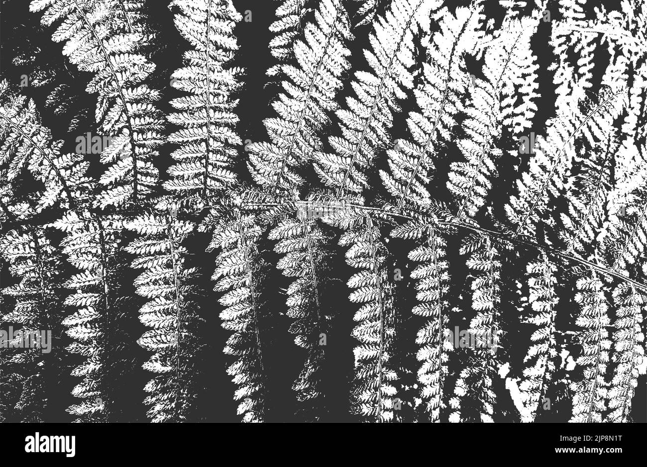 Distressed overlay fern leaf macro texture with streaks. grunge black ...