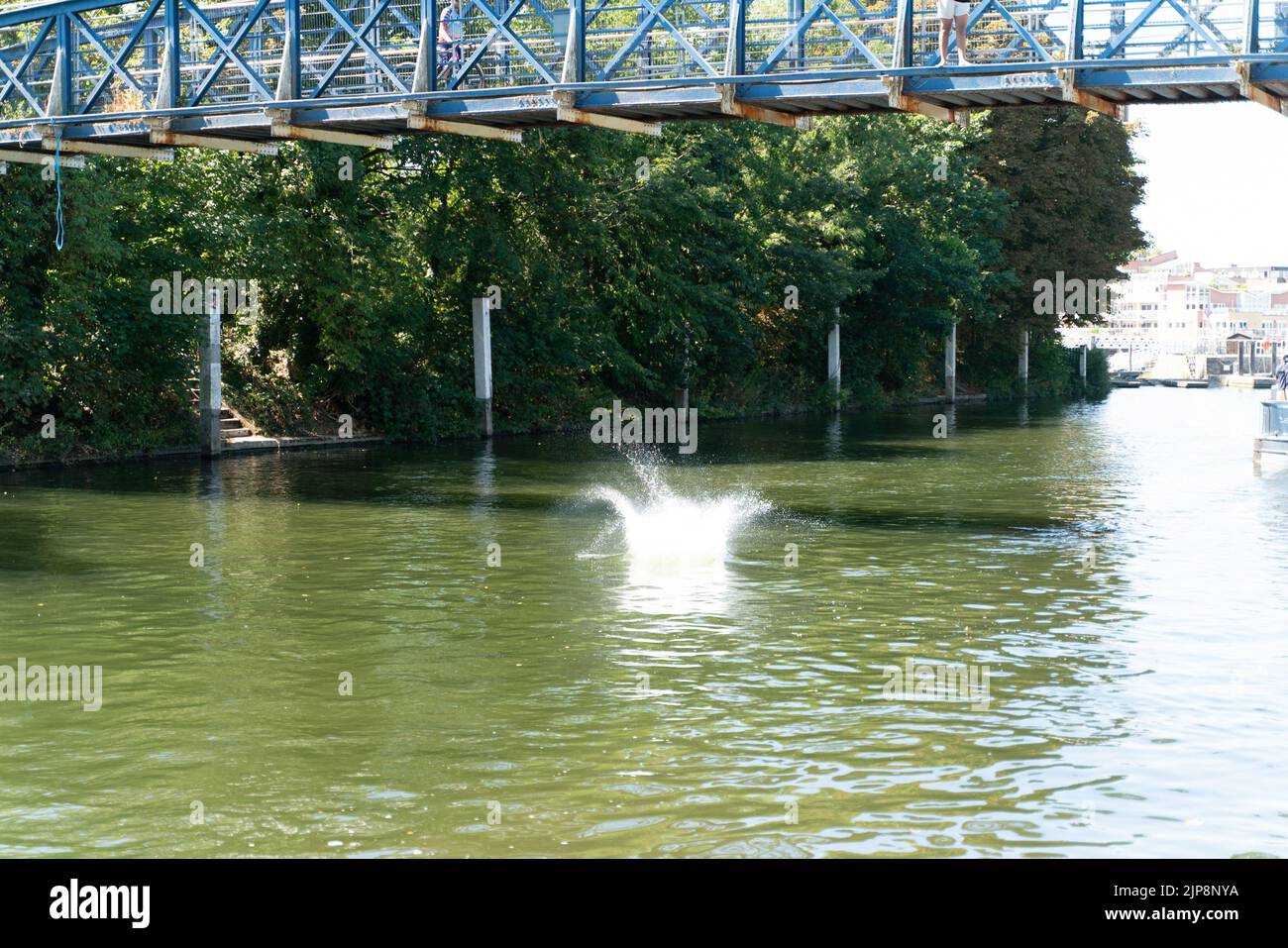Boy Jumping From Bridge Stock Photo - Alamy