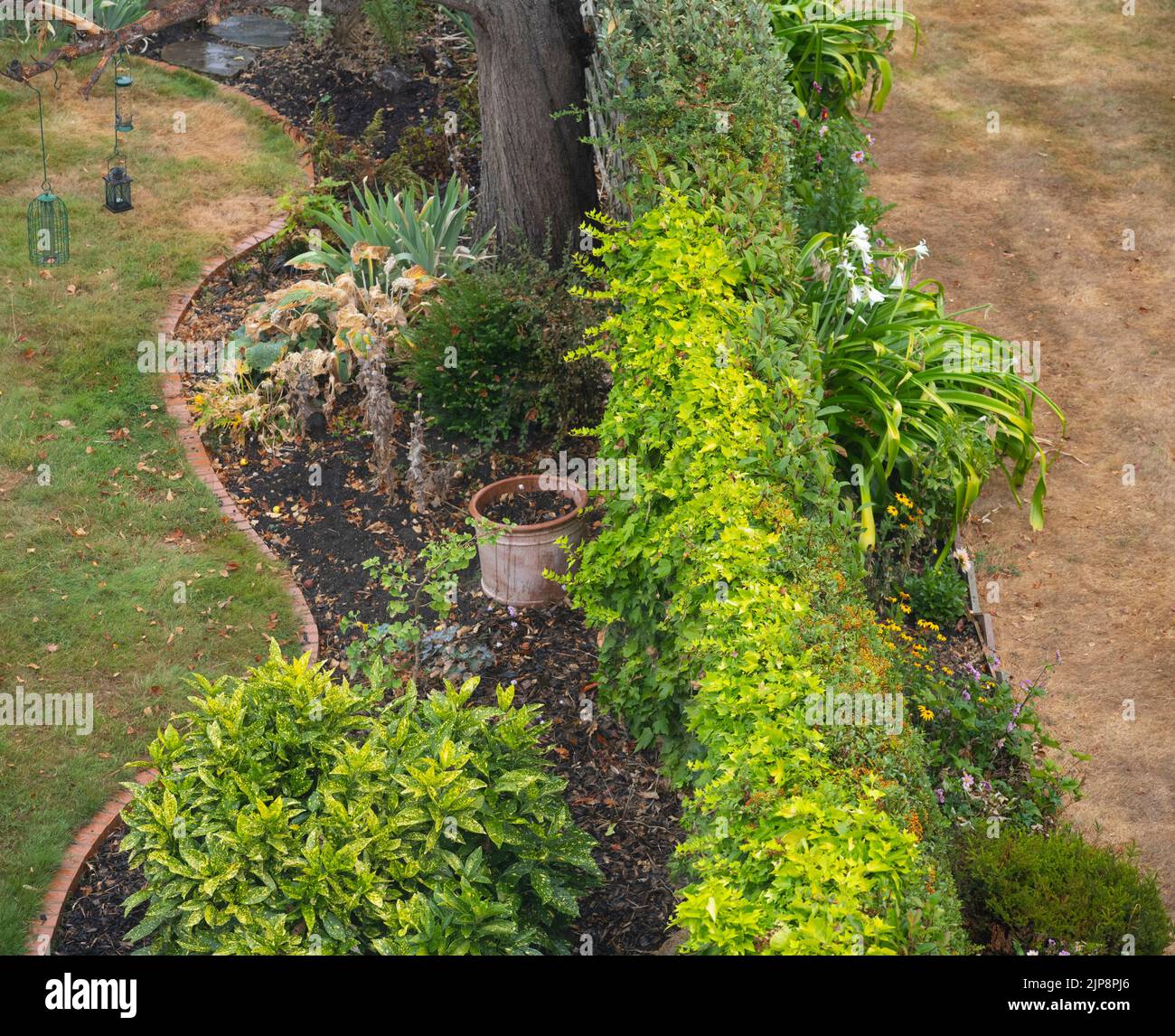 Parched lawns hi-res stock photography and images - Alamy