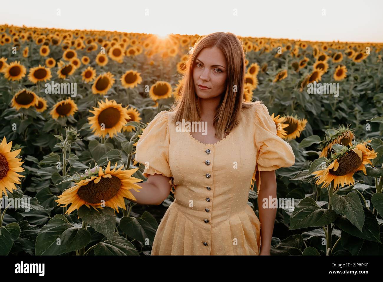 Pretty woman in retro dress posing in sunflowers field. Yellow colors ...