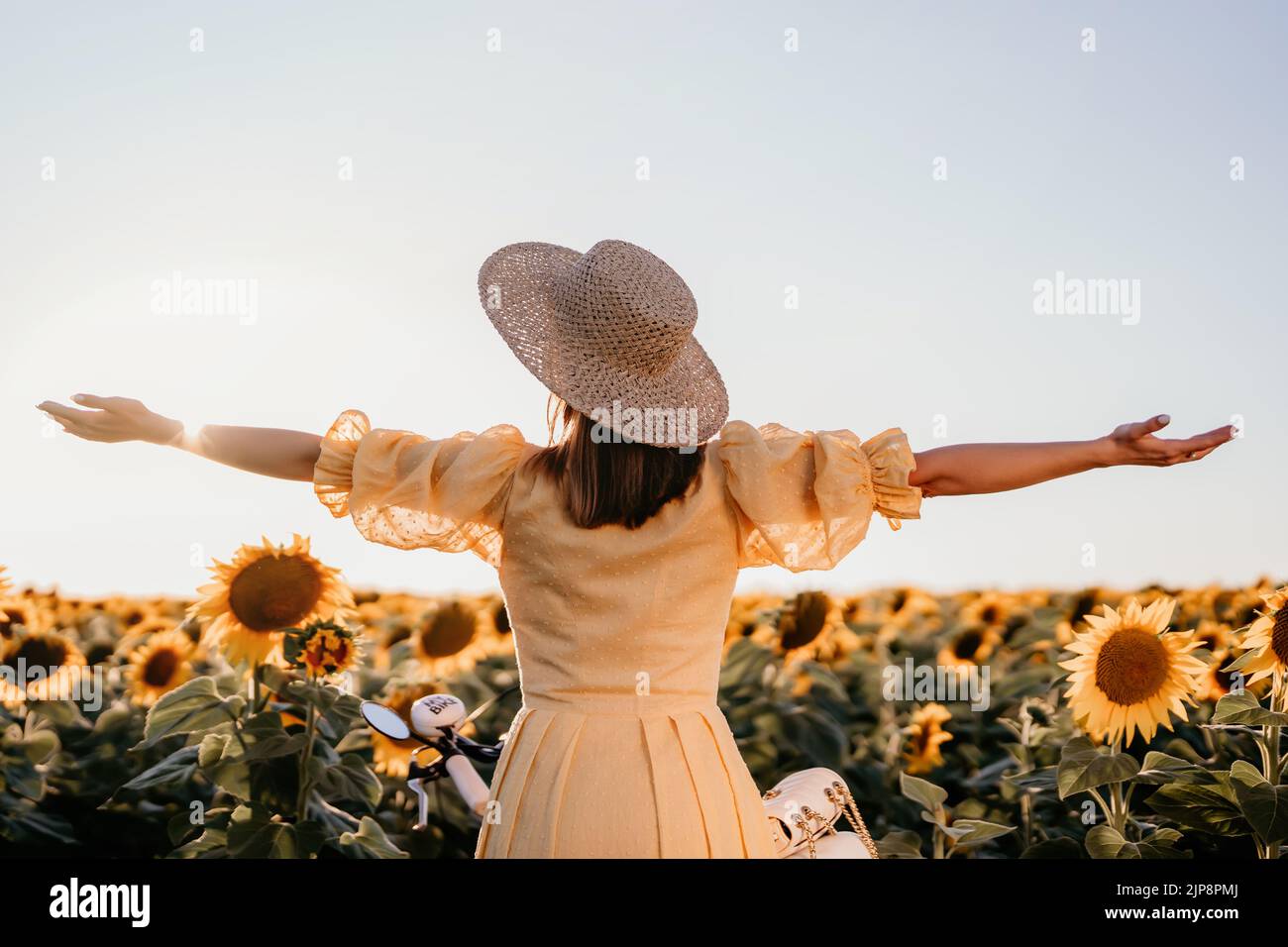 Unrecognizable woman with open arms in sunflowers field. Yellow colors ...