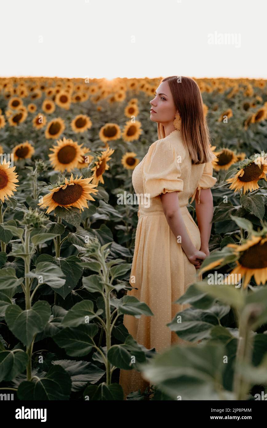 Pretty woman in retro dress posing in sunflowers field. Yellow colors ...
