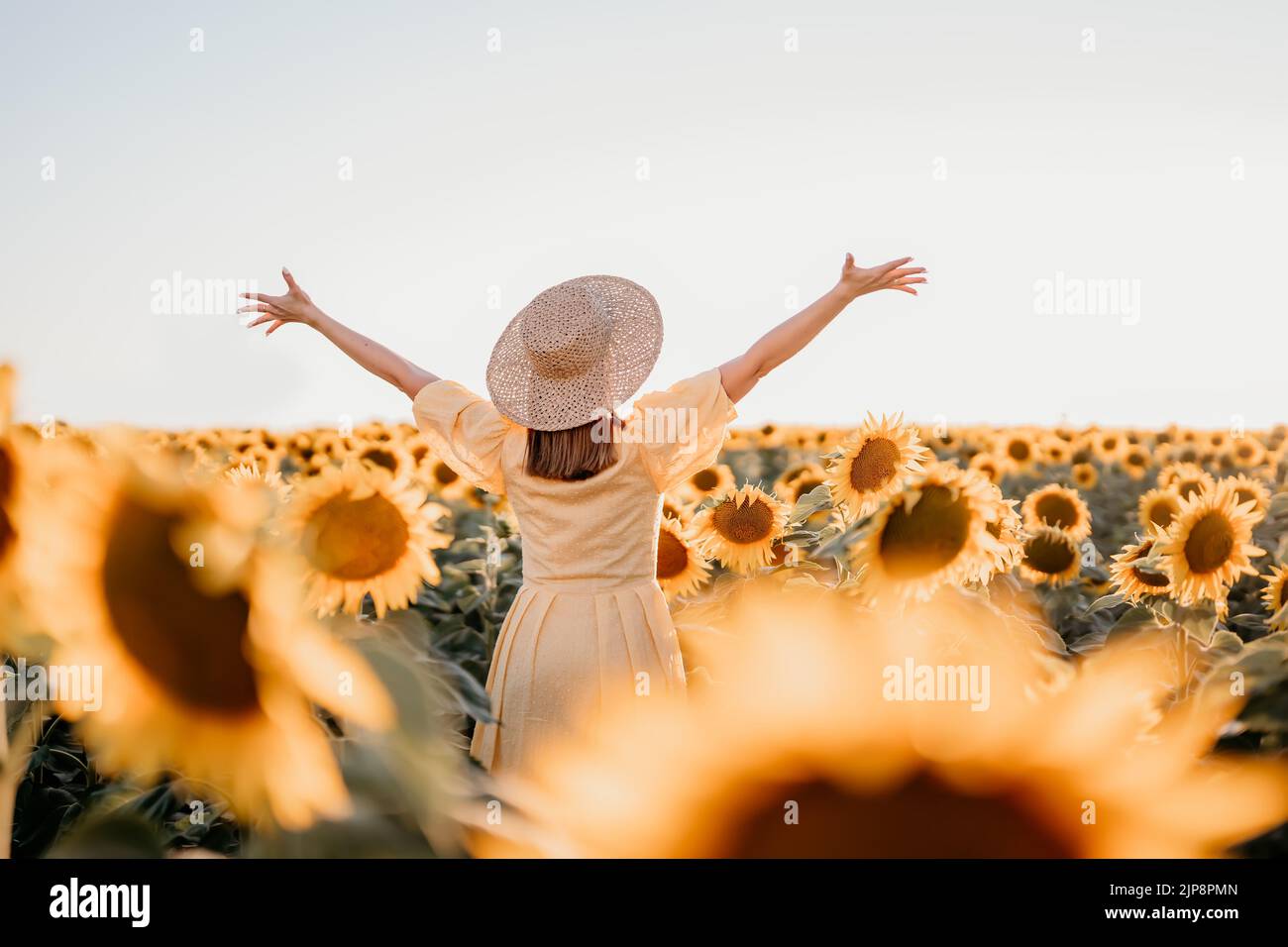 Unrecognizable woman with open arms in sunflowers field. Yellow colors ...
