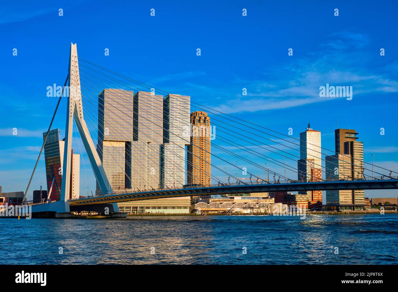 rotterdam, erasmus bridge, erasmusbrug, rotterdams, erasmus bridges ...