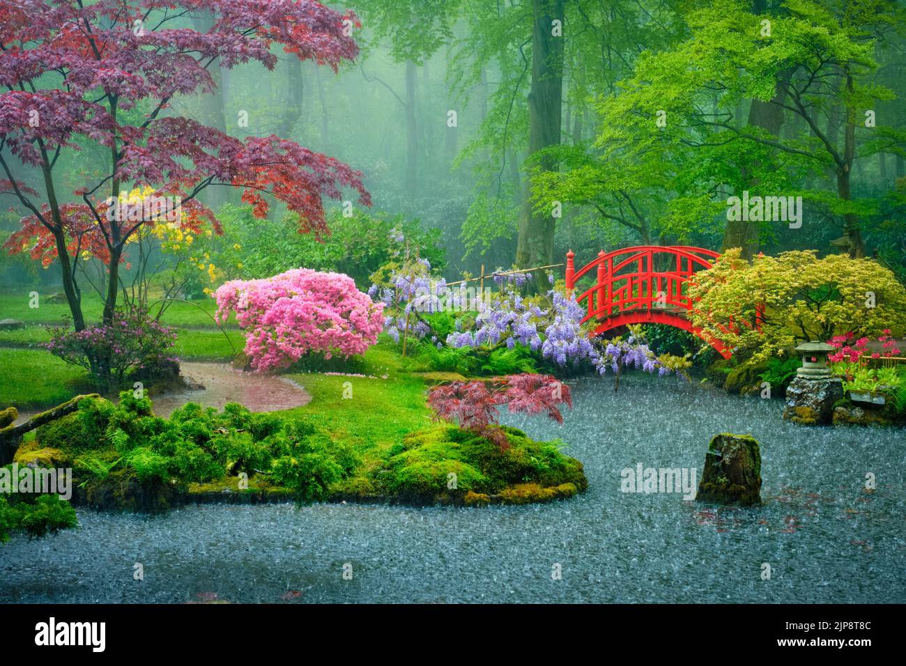 rain, japanese garden, landgoed clingendael, raining, japanese ...