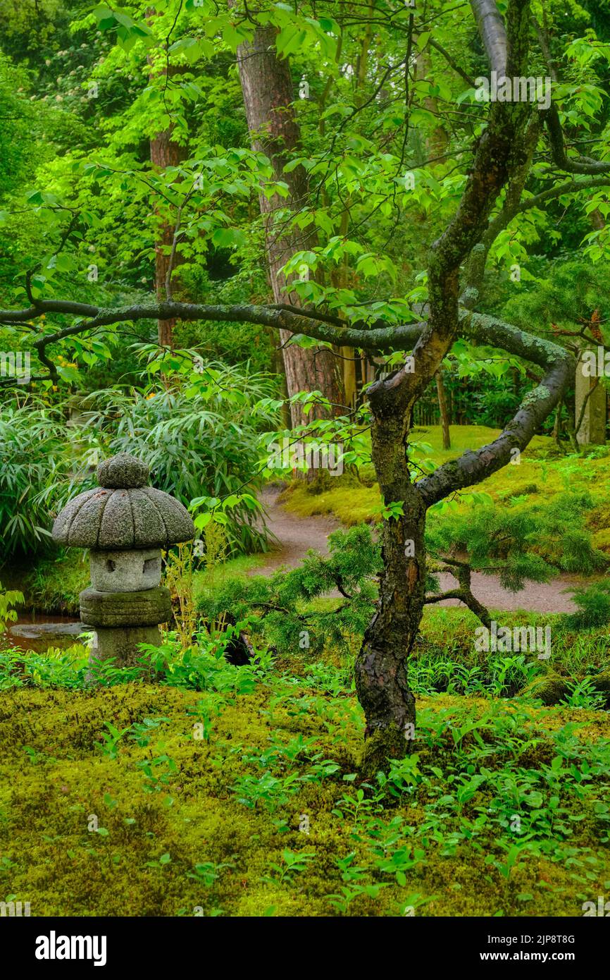 park, enchanted , japanese garden, landgoed clingendael, parks ...