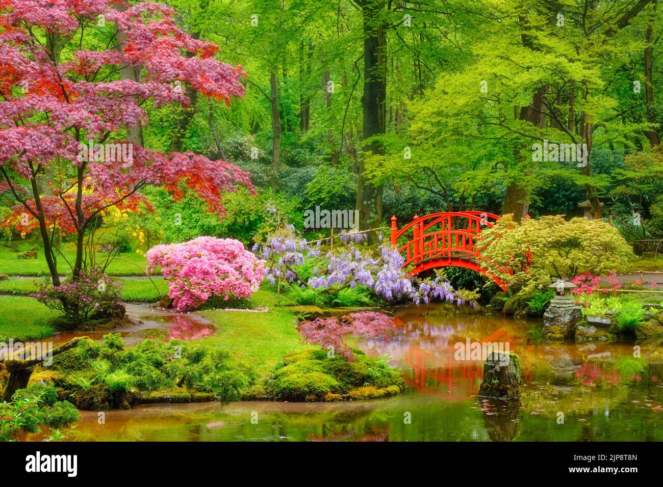 park, japanese garden, landgoed clingendael, parks, japanese, japanese ...