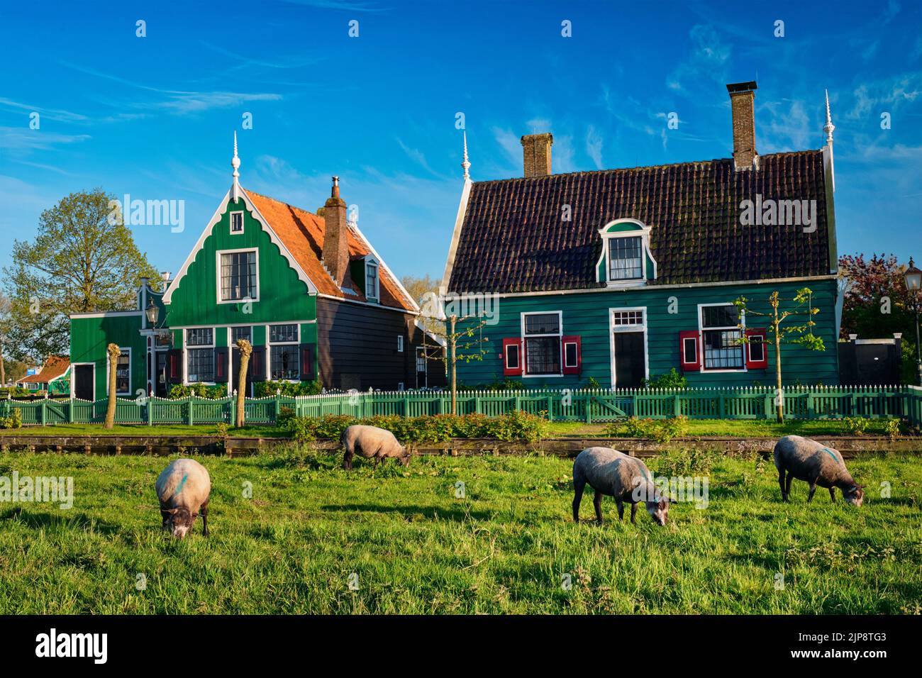 rural scene, farm, netherlands, zaanse schans, country, country life ...