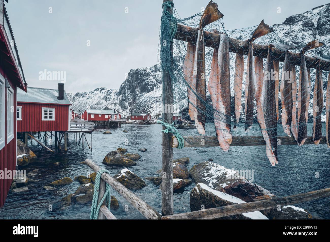 Norway angle fish fishing hi-res stock photography and images - Alamy