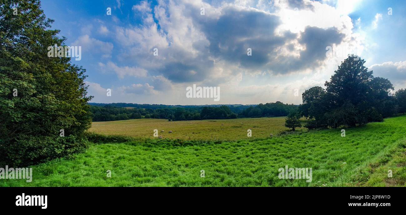 On site battle hastings hi-res stock photography and images - Alamy