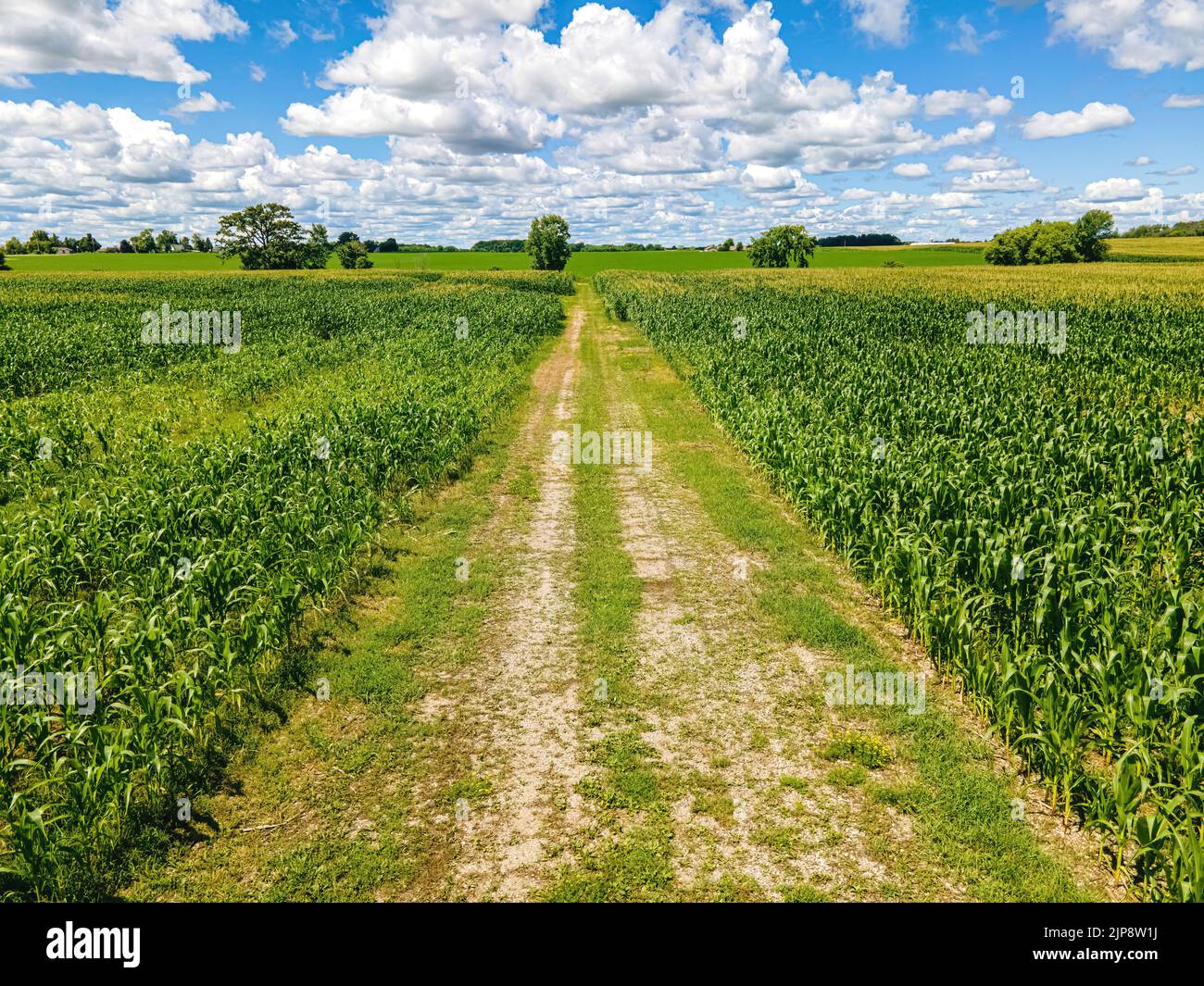 Hot summer day with a cloudy blue sky with farm fields and the small ...