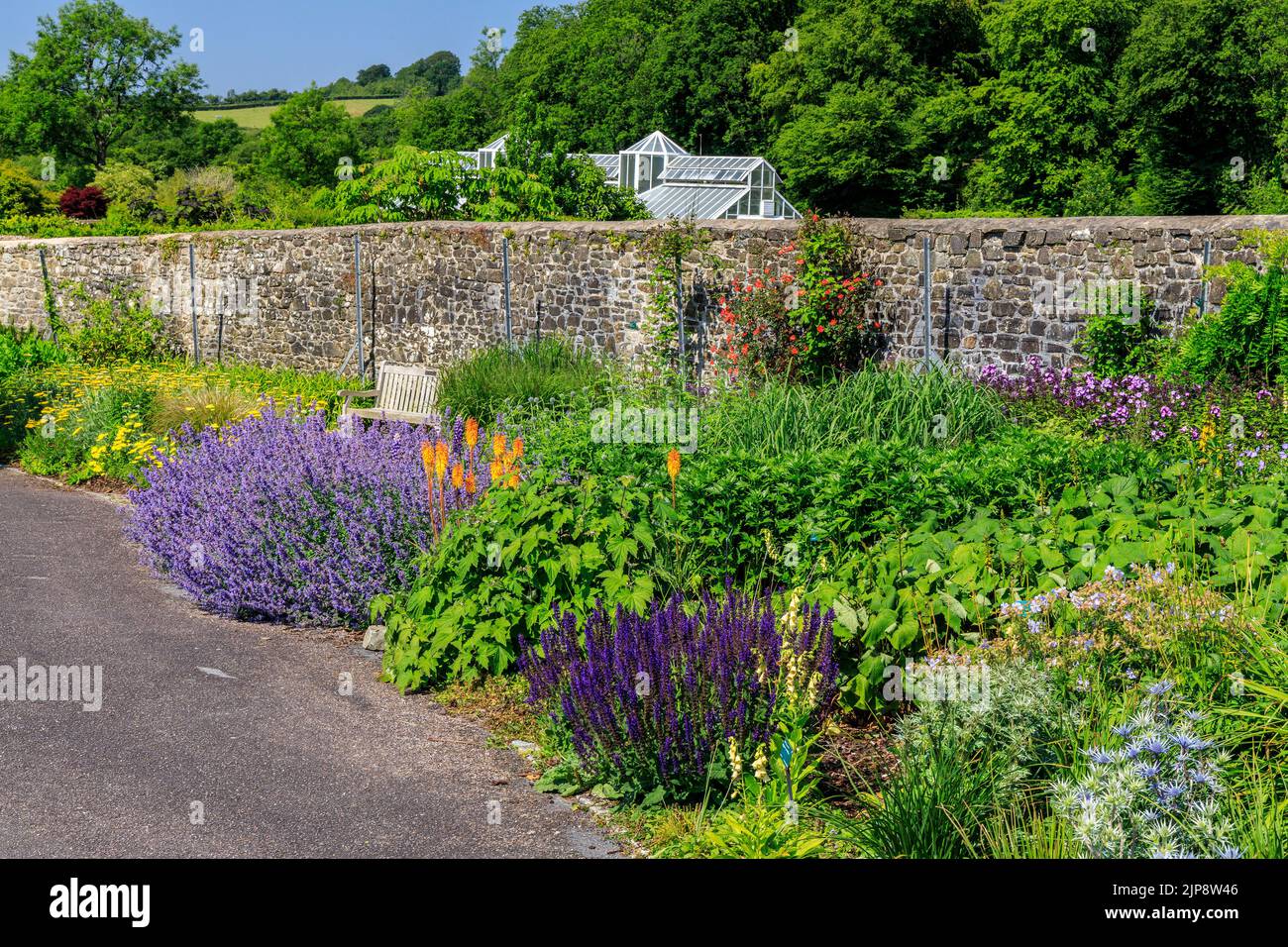 Colourful planting outside the walled garden with tropical glasshouse ...