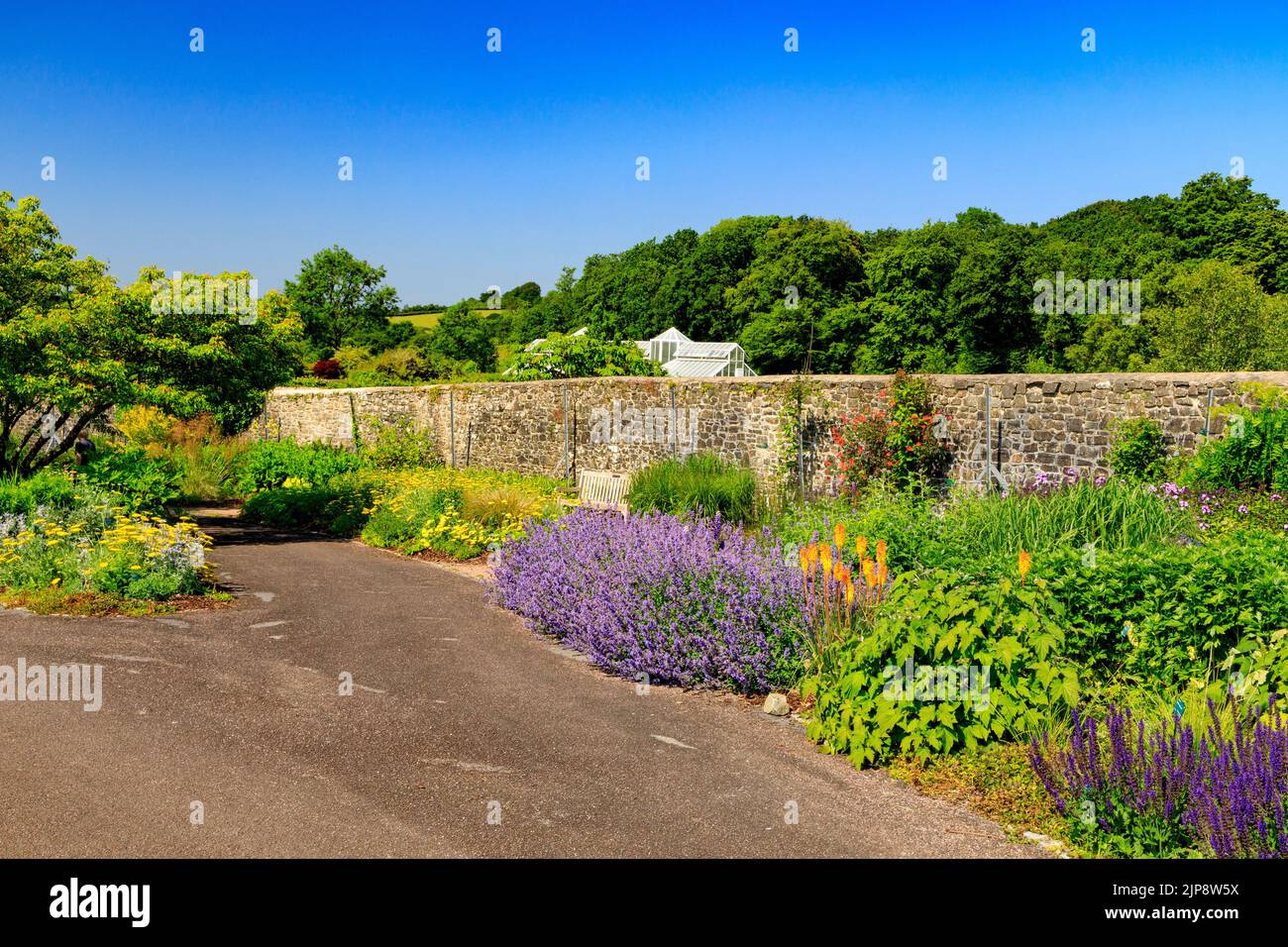 Colourful planting outside the walled garden with tropical glasshouse ...
