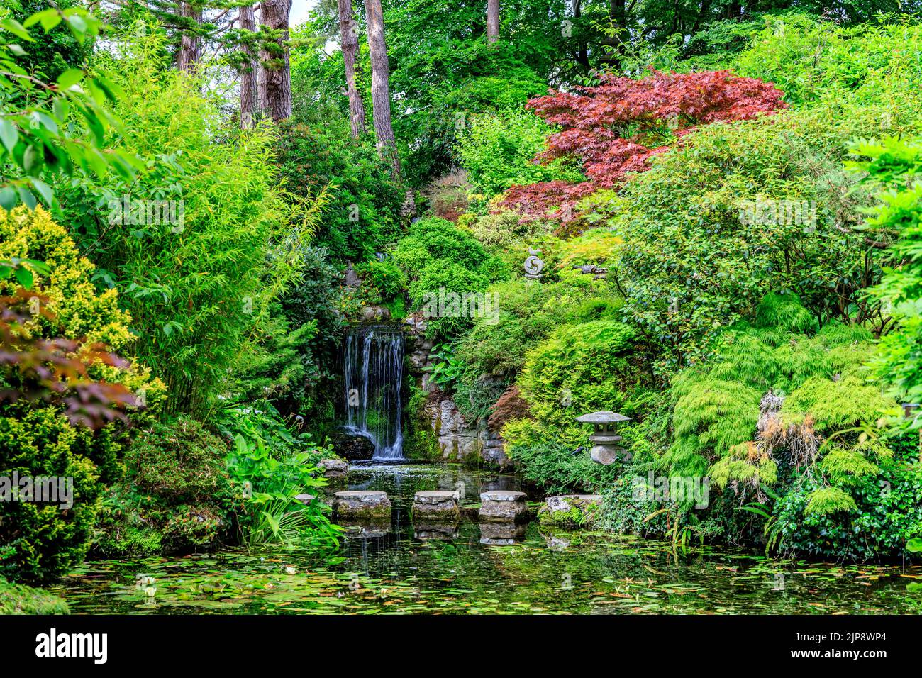 The Japanese Garden at Compton Acres Gardens, Poole, Dorset, England ...