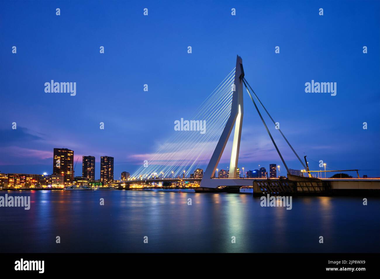 holland, rotterdam, erasmus bridge, erasmusbrug, hollands, rotterdams ...