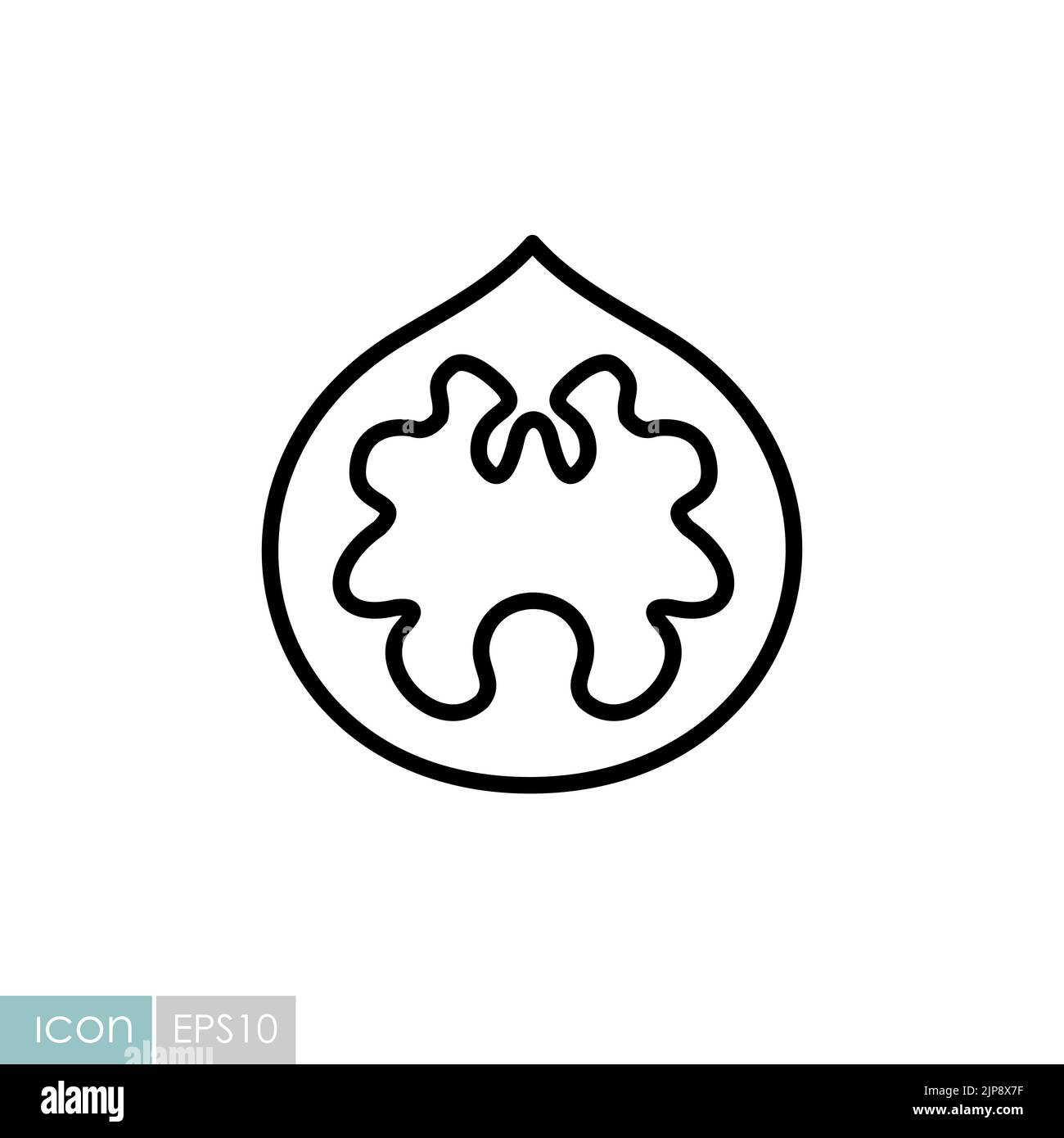 Walnut vector icon. Graph symbol for food and drinks web site, apps ...