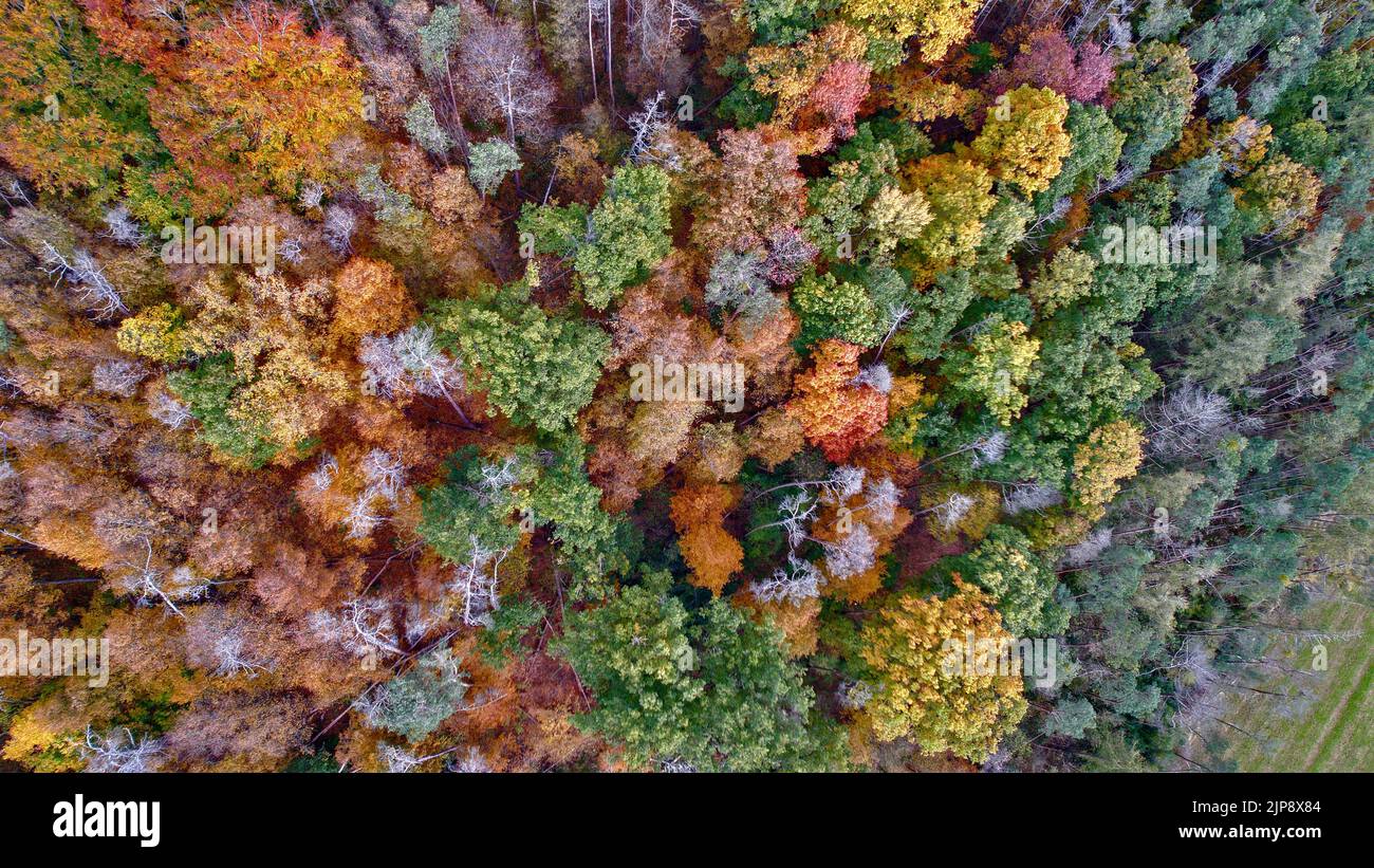 Drone pictures of autumn Stock Photo - Alamy