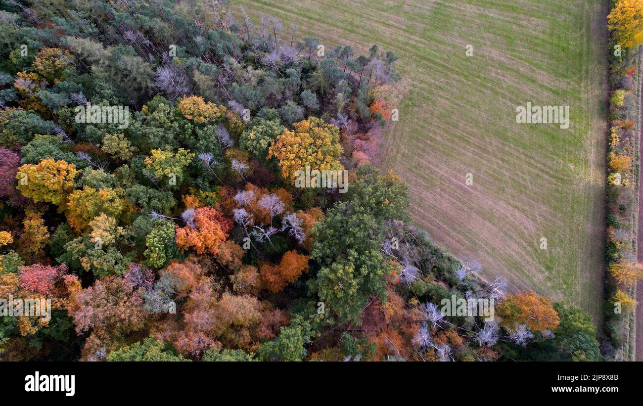Drone pictures of autumn Stock Photo - Alamy