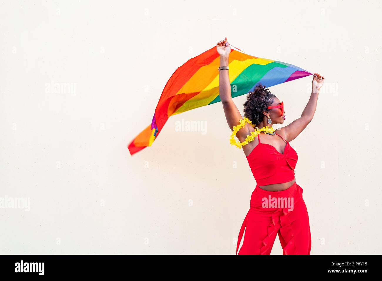 symbol, celebrations, rainbow flag, lgbt, person of color, symbols ...