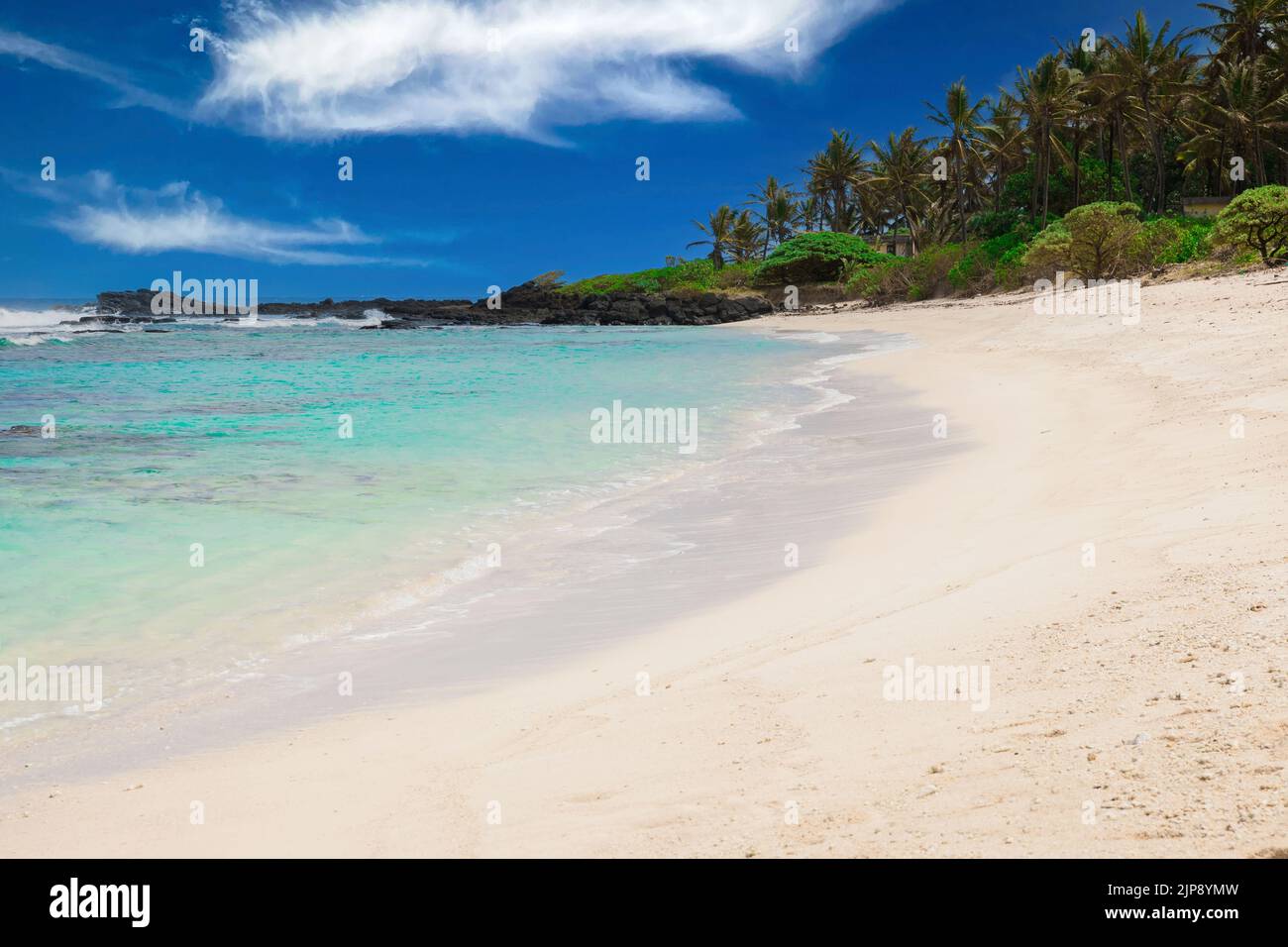 Sea sand and tree of maurice island hi-res stock photography and images ...