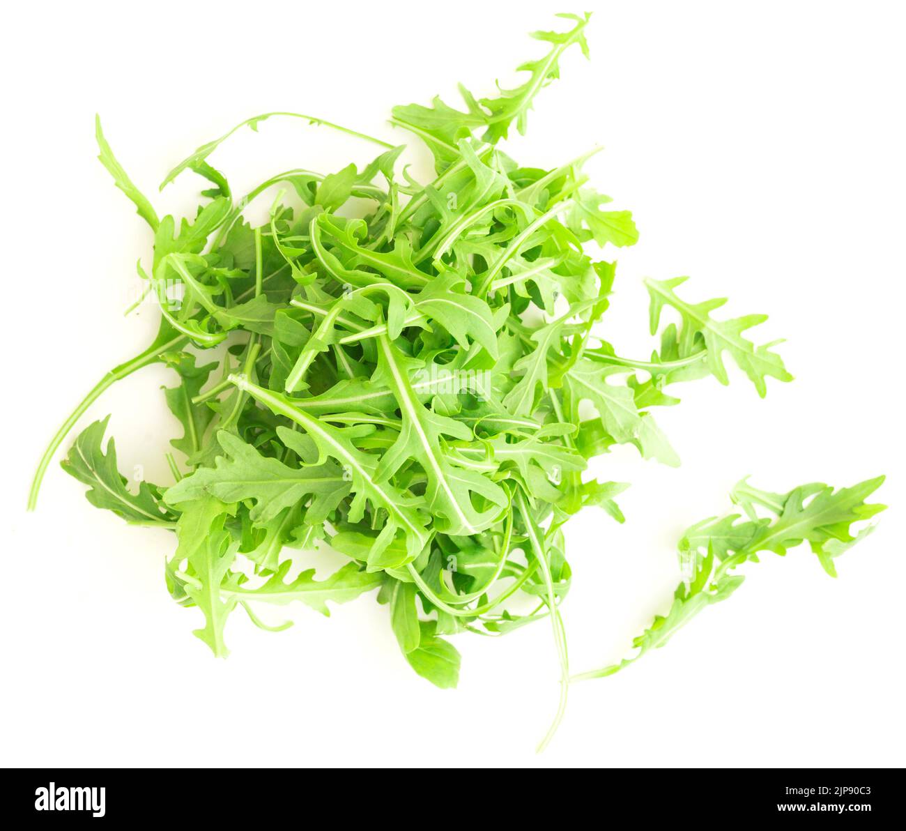 fresh farm arugula on a white background Stock Photo - Alamy