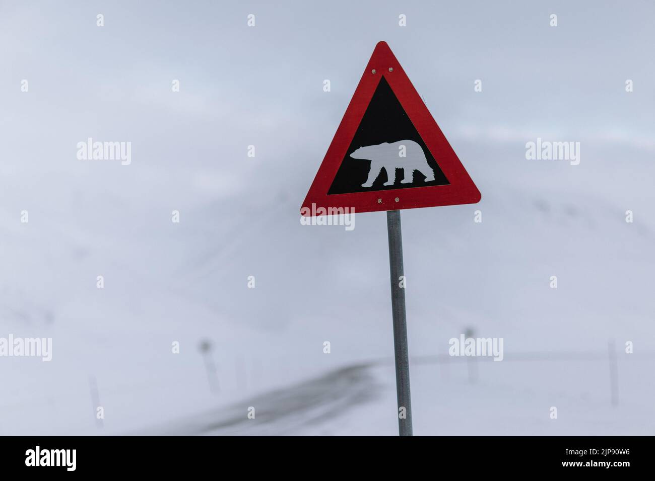 traffic sign, warning, polar bear, road sign, road signs, traffic signs ...