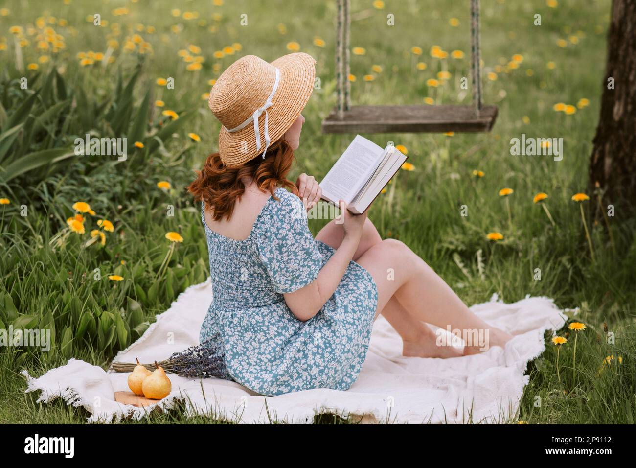 rural scene, reading, picnic, outing, country, country life, rural ...