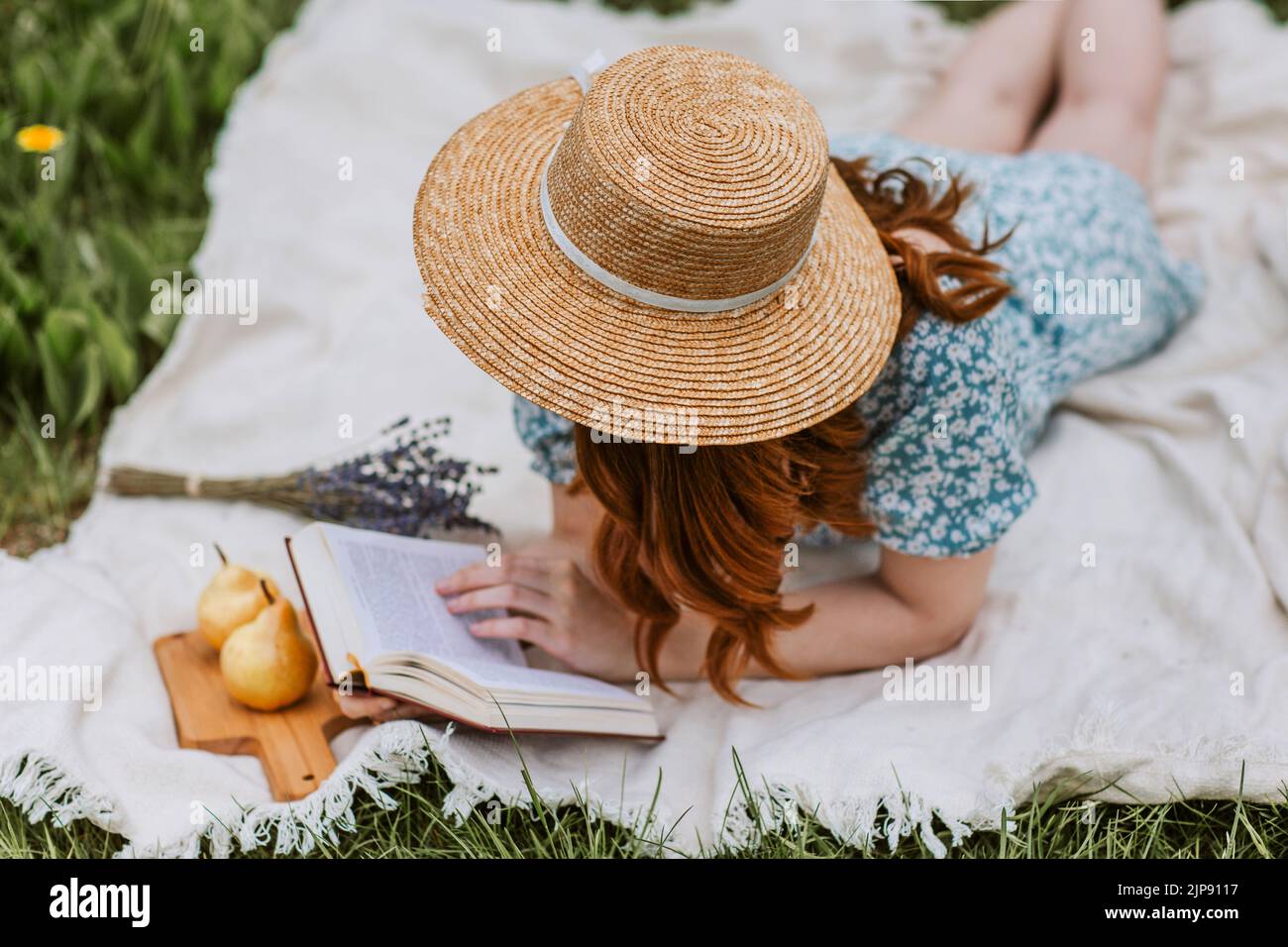 summer, reading, picnic, outing, summers, read, reading a book, reading ...