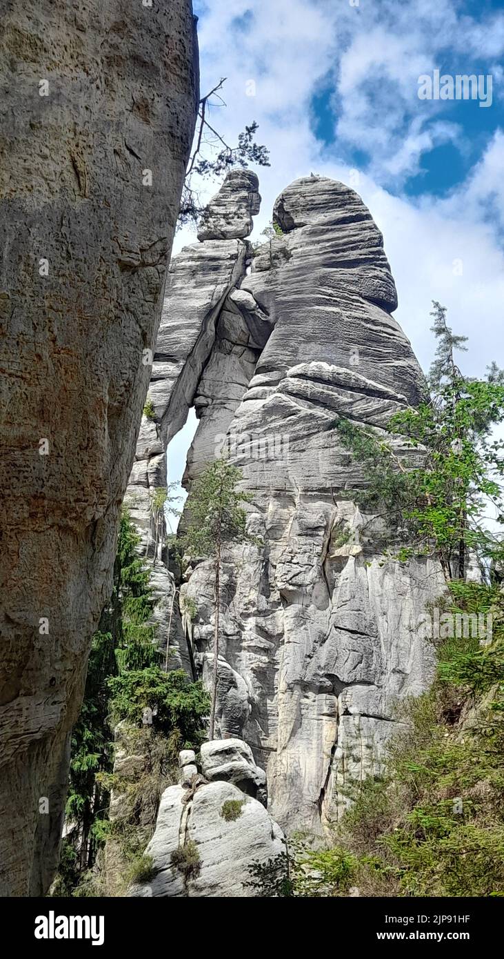 A vertical shot of the cliffs surrounded by green vegetation. Adrspach ...