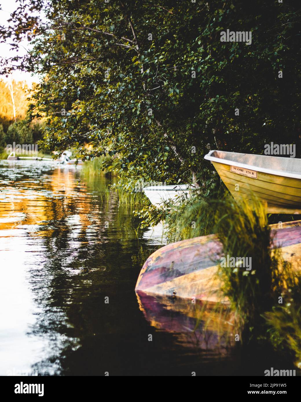 A vertical shot of painted boats in a pond with foliage Stock Photo - Alamy