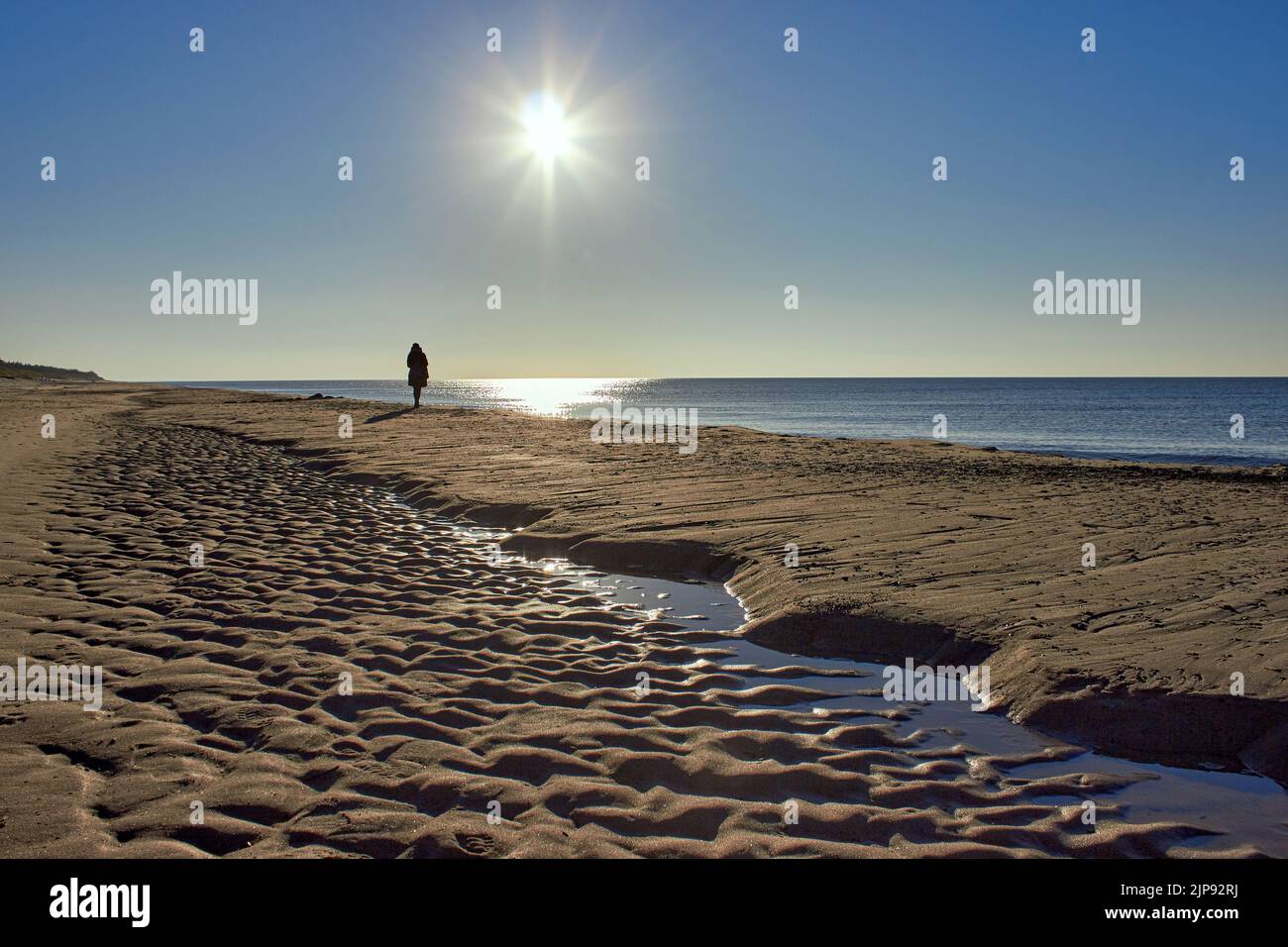 Deserted sea sandy beach with sand wet after a storm and a lonely ...