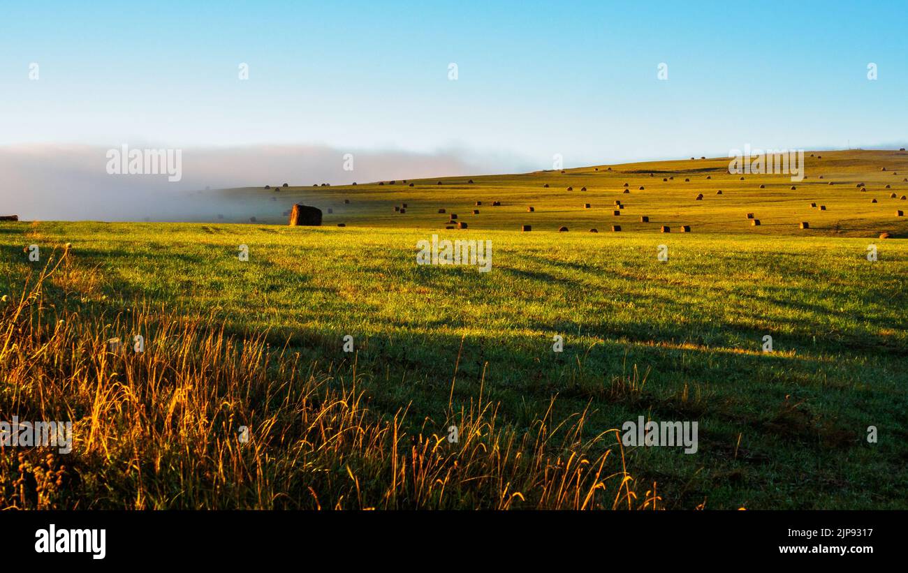 Coutryside landscape with mowed fields and hay bales Stock Photo - Alamy