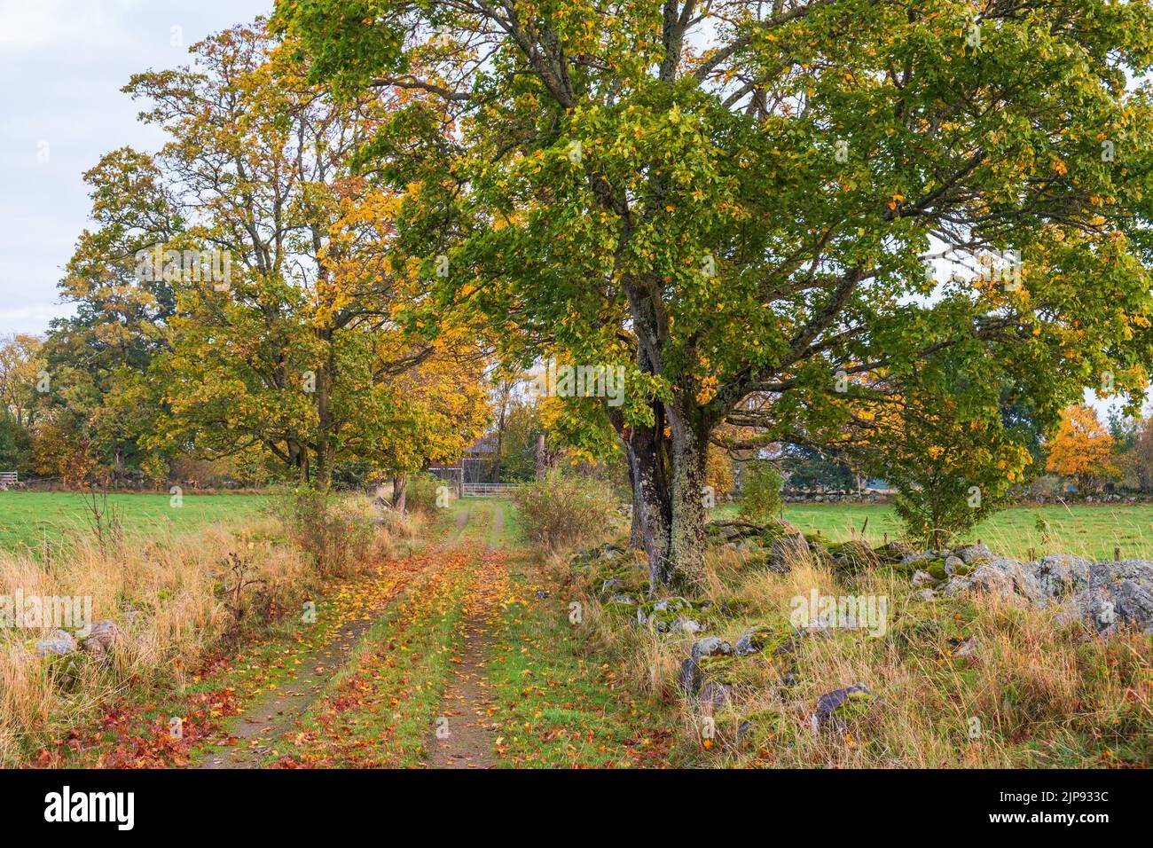 Road lined stone wall hi-res stock photography and images - Alamy