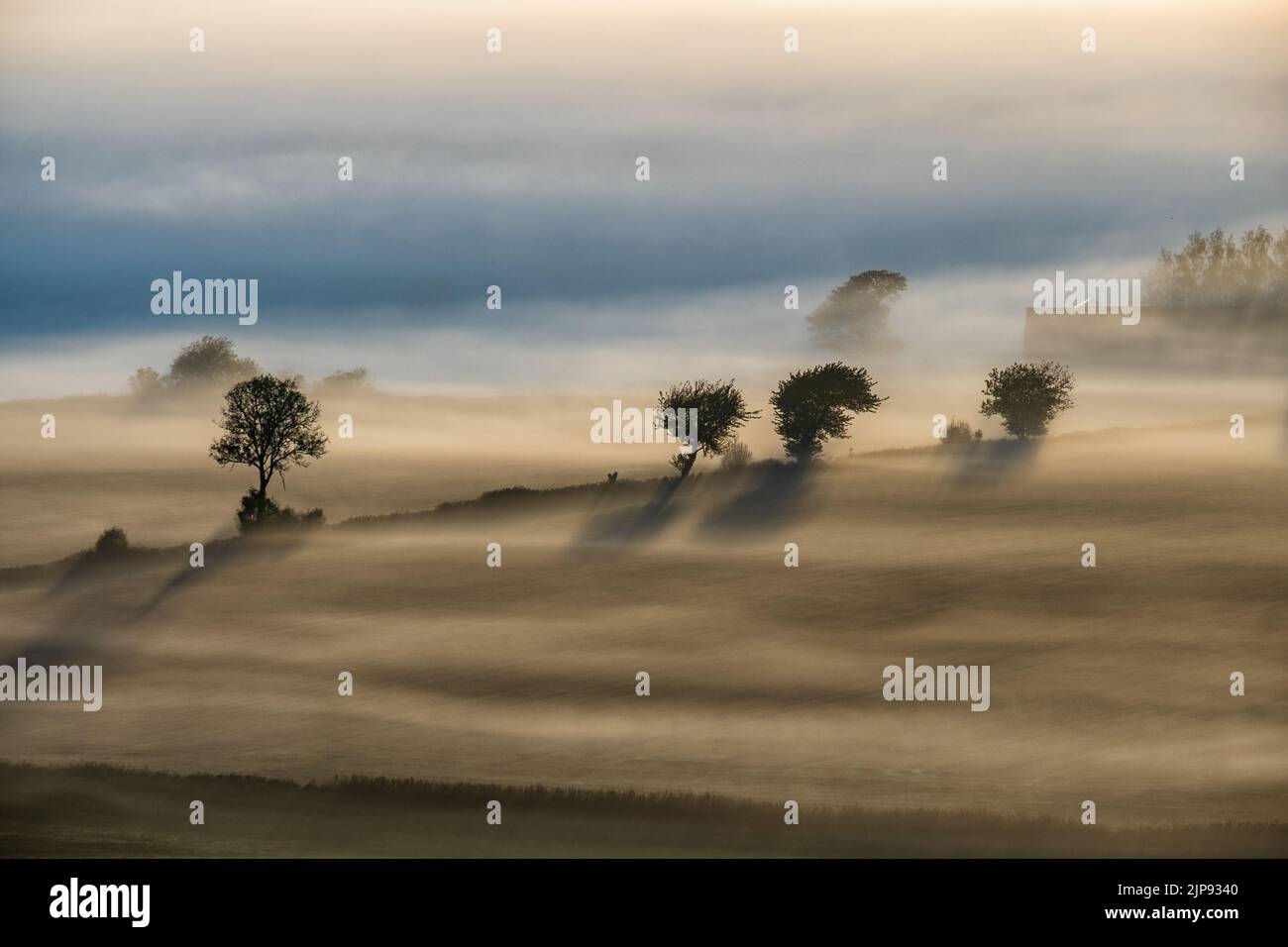Misty morning light at the countryside Stock Photo - Alamy