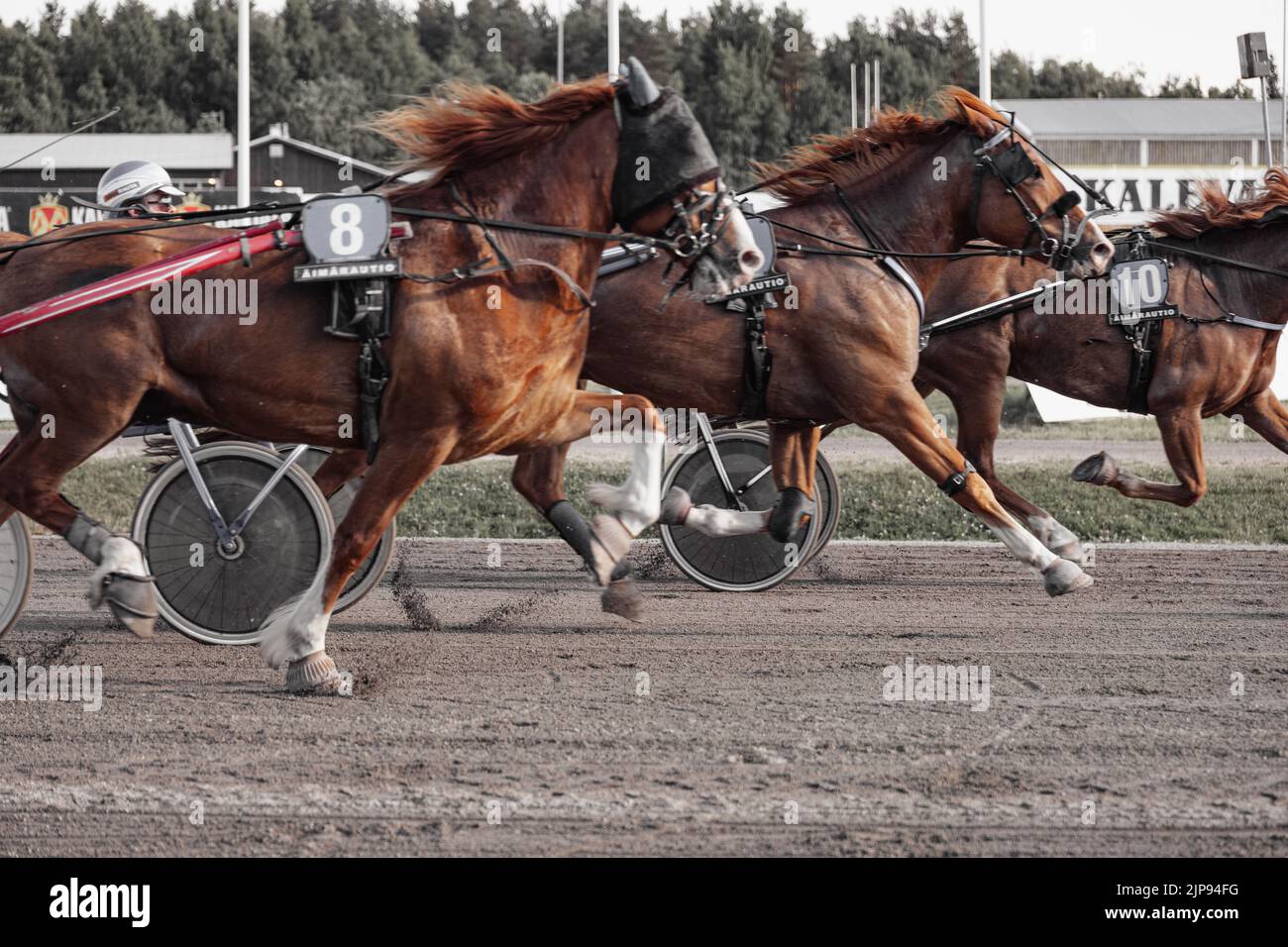 Harness racing horses hi-res stock photography and images - Alamy